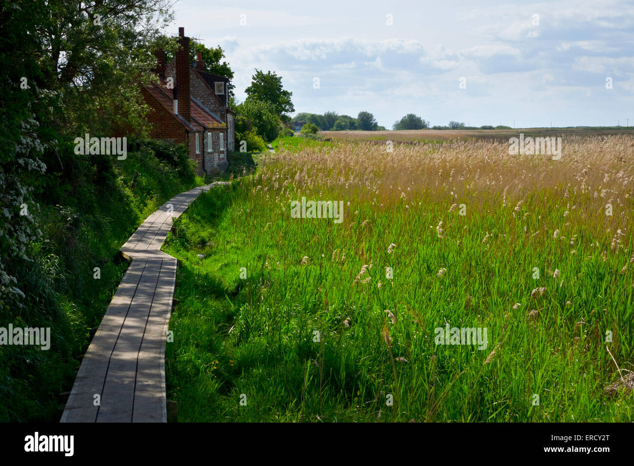 Marsh boardwalk hi-res stock photography and images - Alamy
