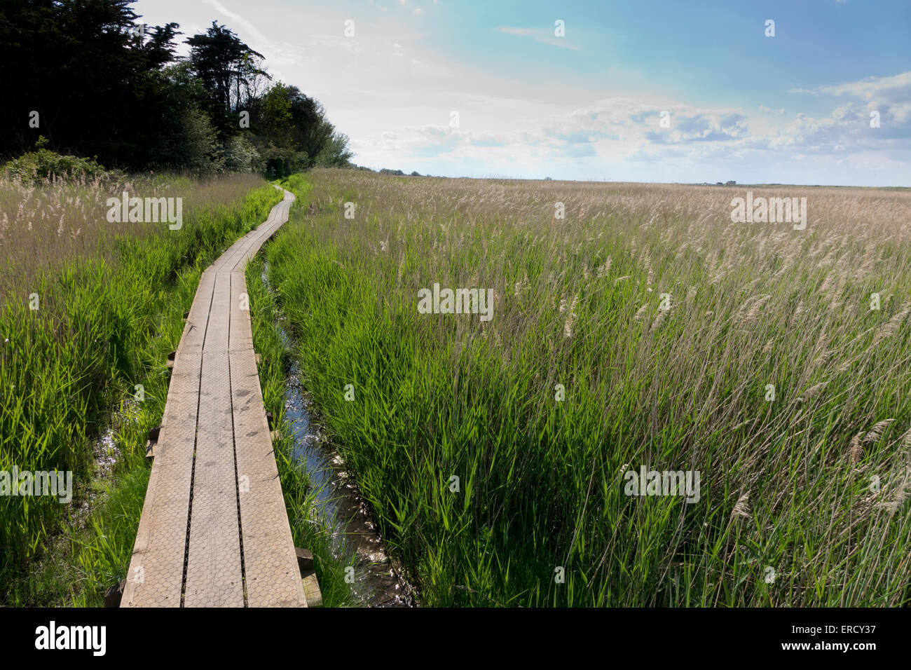 Norfolk coast coastal path Stock Photo - Alamy
