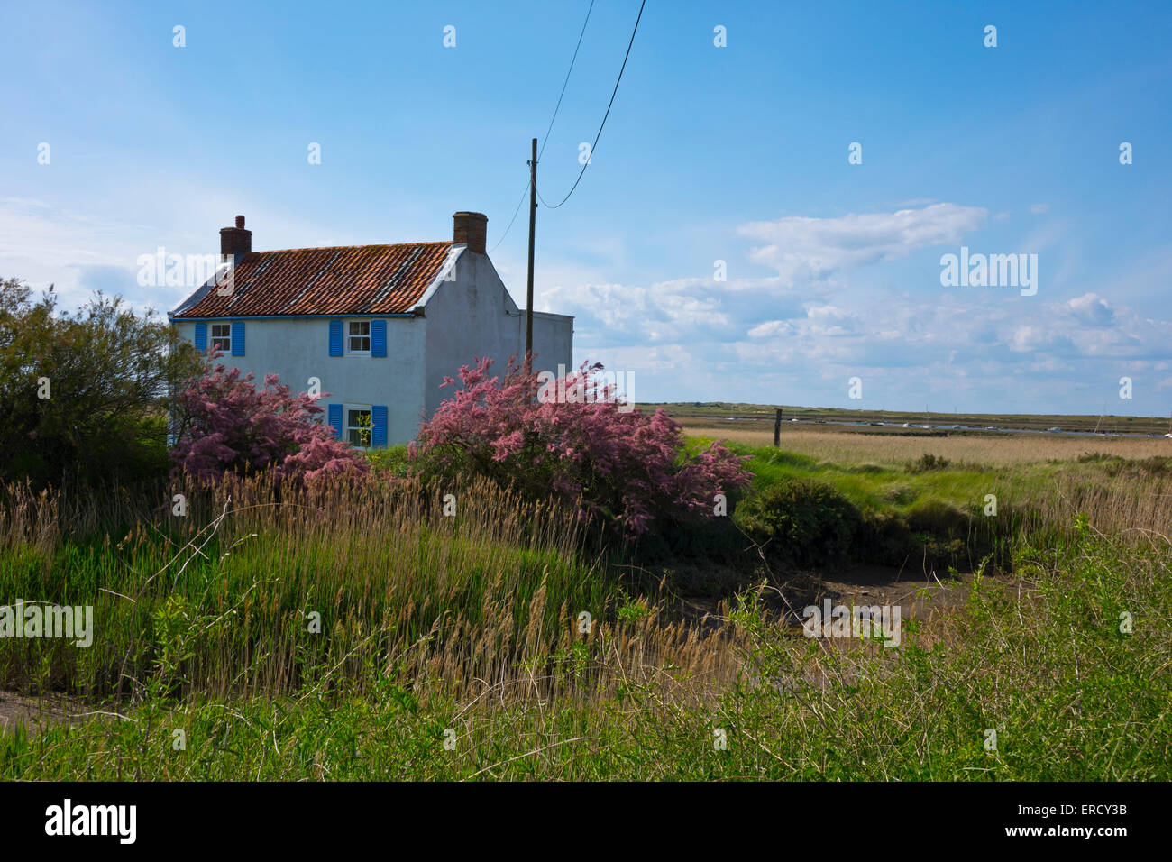 House cottage on marsh Stock Photo - Alamy