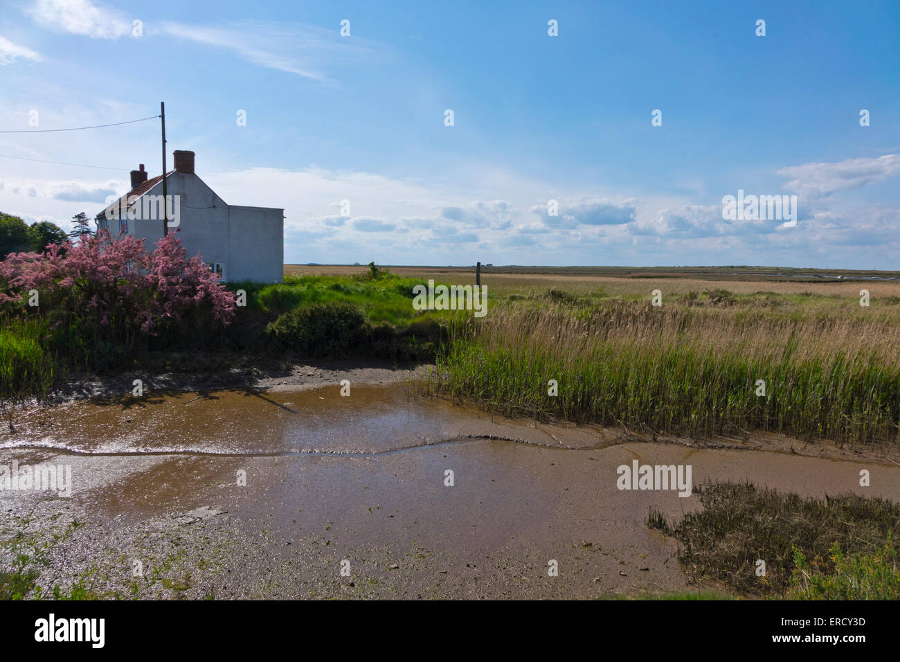 House cottage on marsh Stock Photo - Alamy