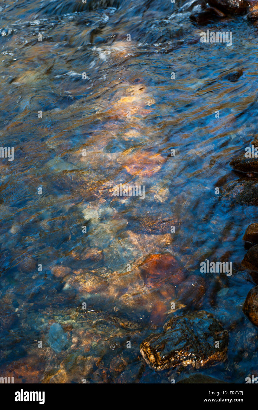 Translucent river water hi-res stock photography and images - Alamy