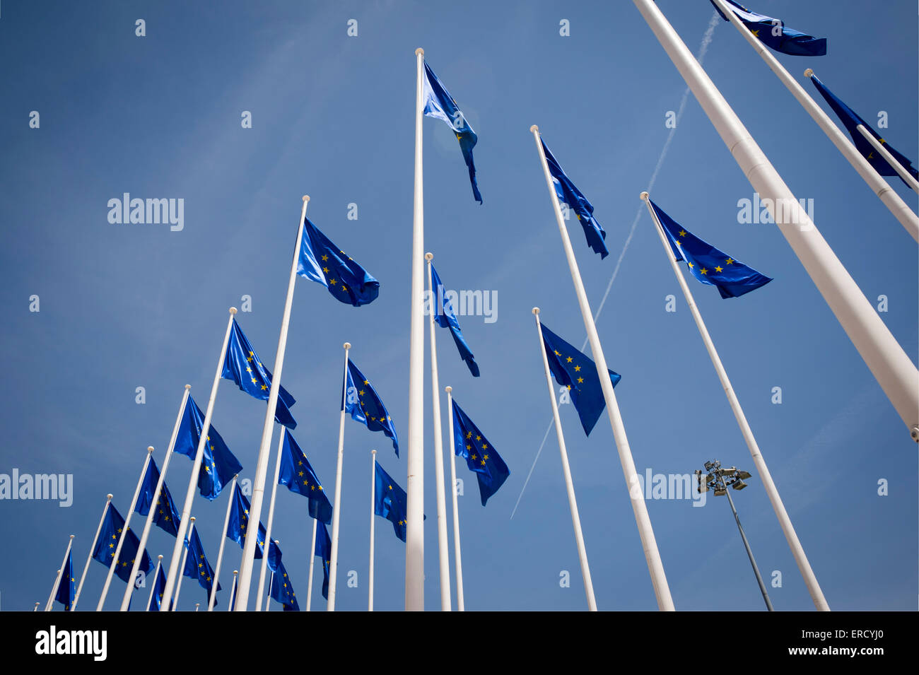 European Union flags flying Stock Photo - Alamy