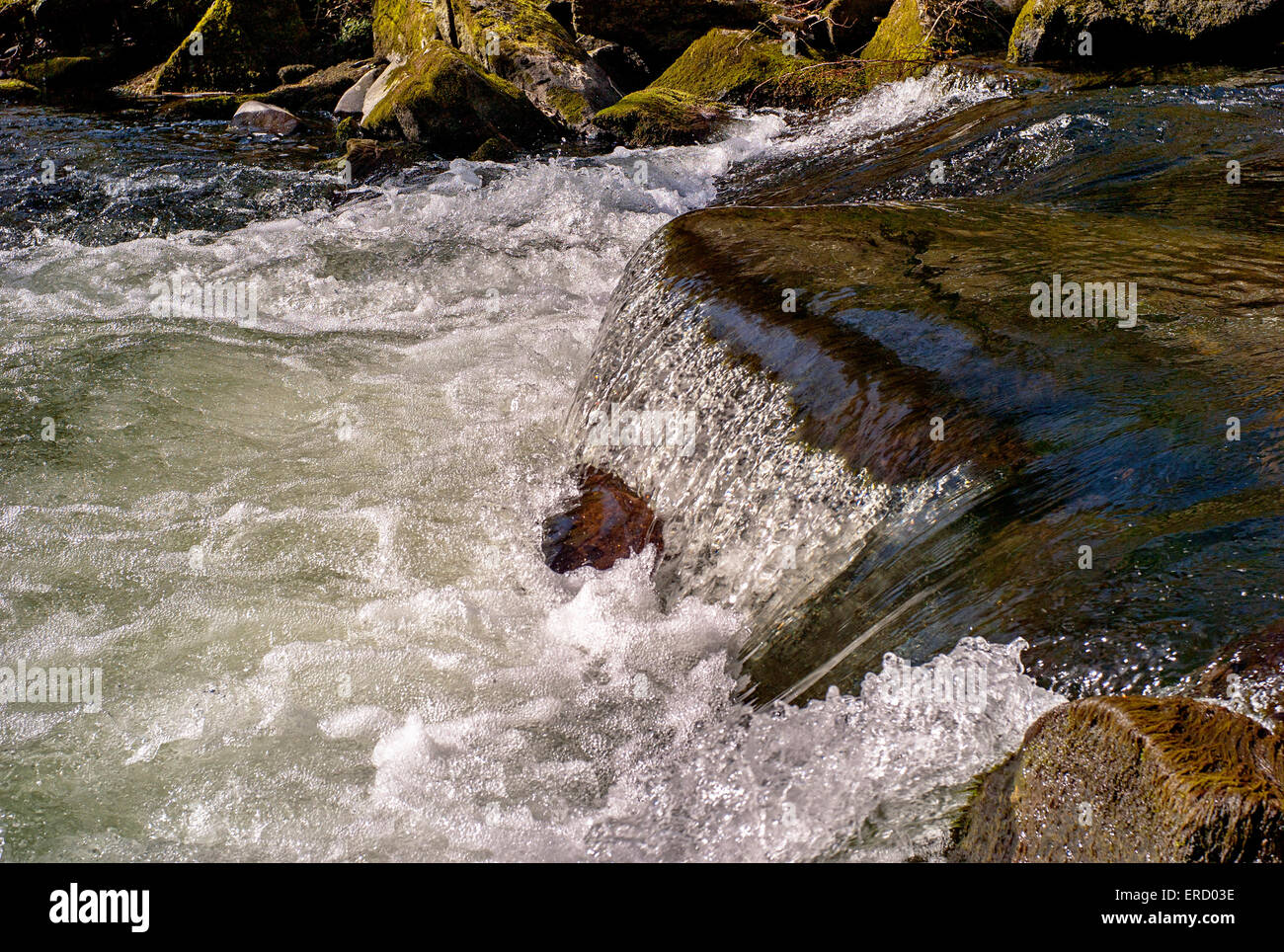 Forest river cascade hi-res stock photography and images - Alamy