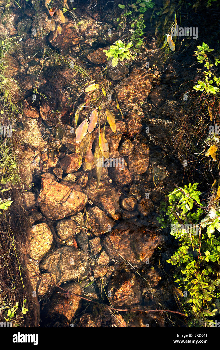 surface of the river light wave and translucent water, wave, bottom ...