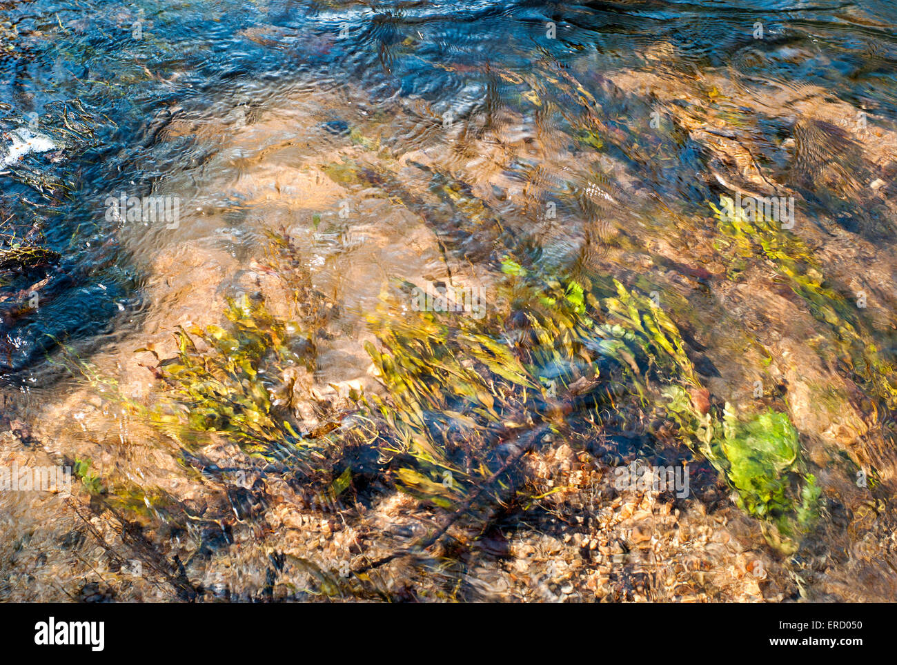 surface of the river light wave and translucent water, wave, bottom ...