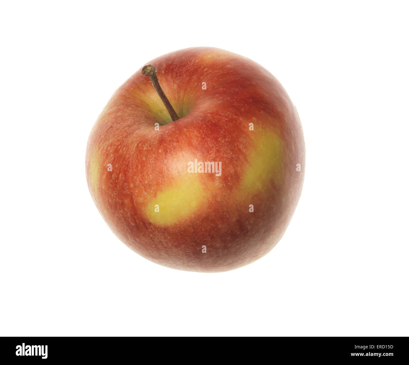 Pinova hi-res stock photography and images - Alamy