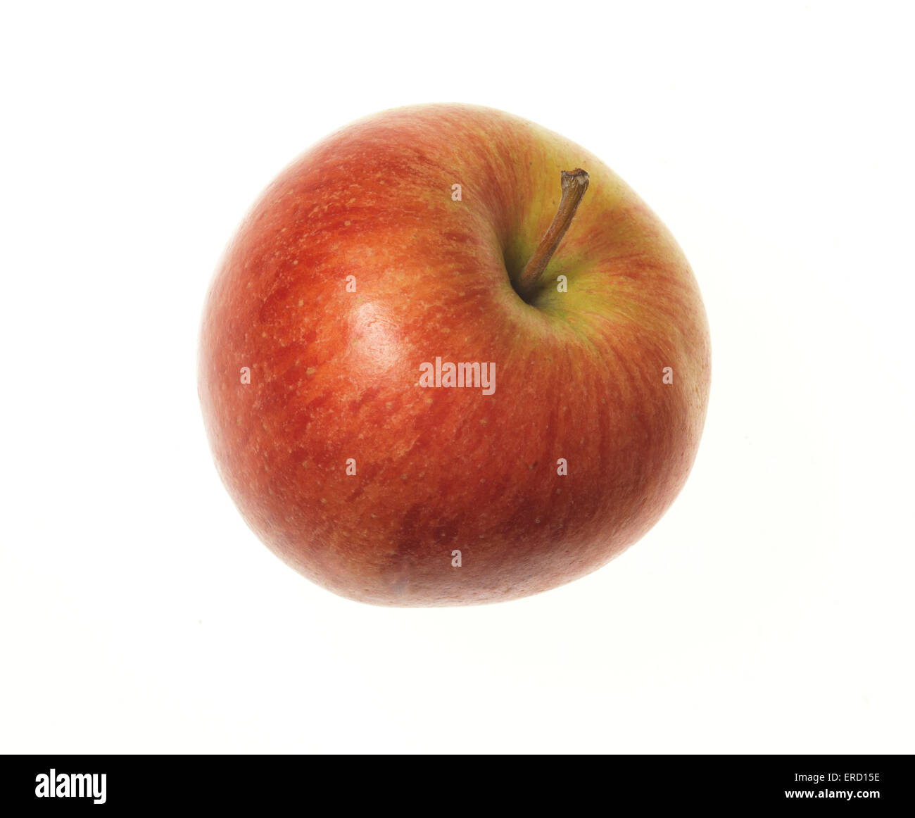 Pinova hi-res stock photography and images - Alamy