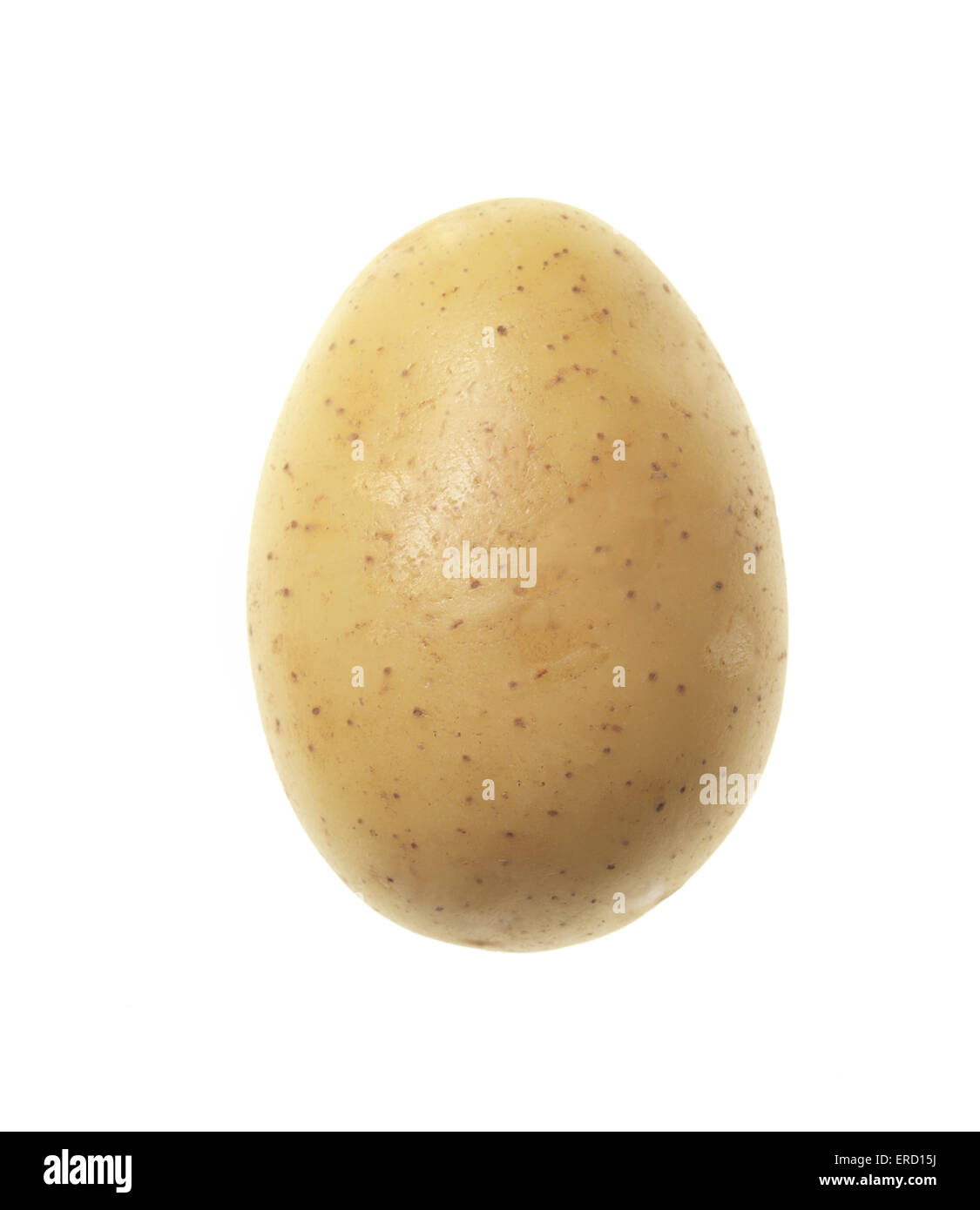 Potato tuber hi-res stock photography and images - Alamy