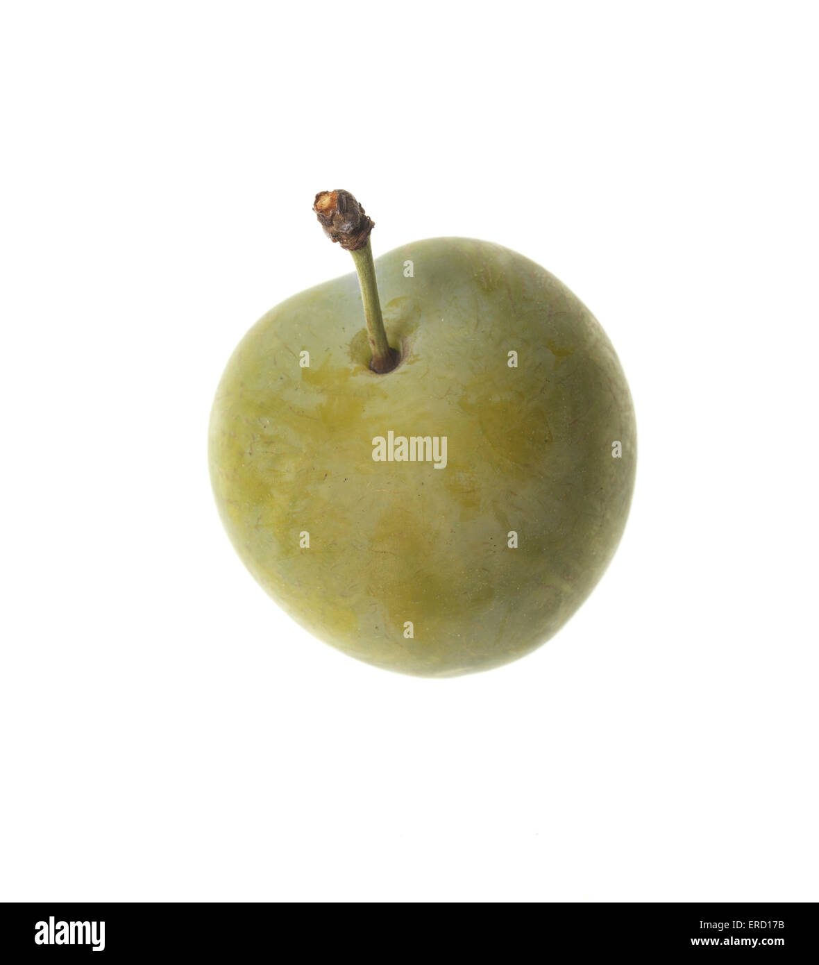 September plum hi-res stock photography and images - Alamy