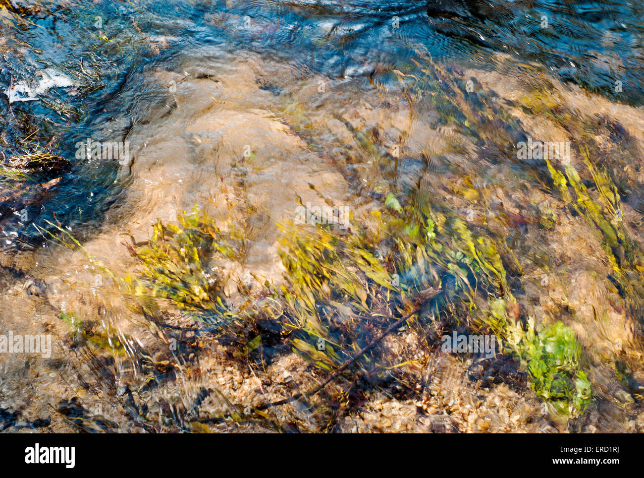 surface of the river light wave and translucent water, wave, bottom ...