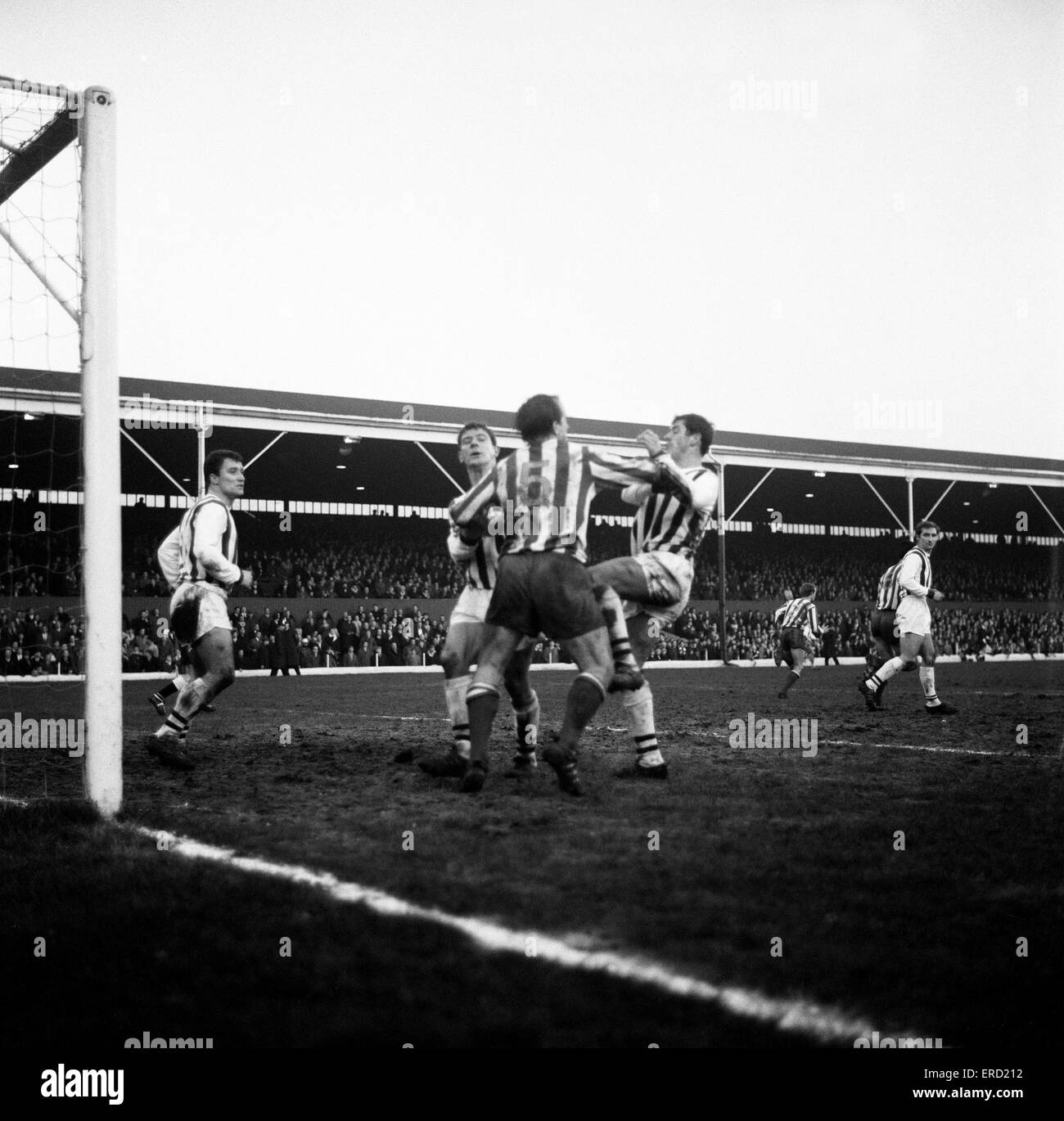 Victoria ground stoke hi-res stock photography and images - Alamy