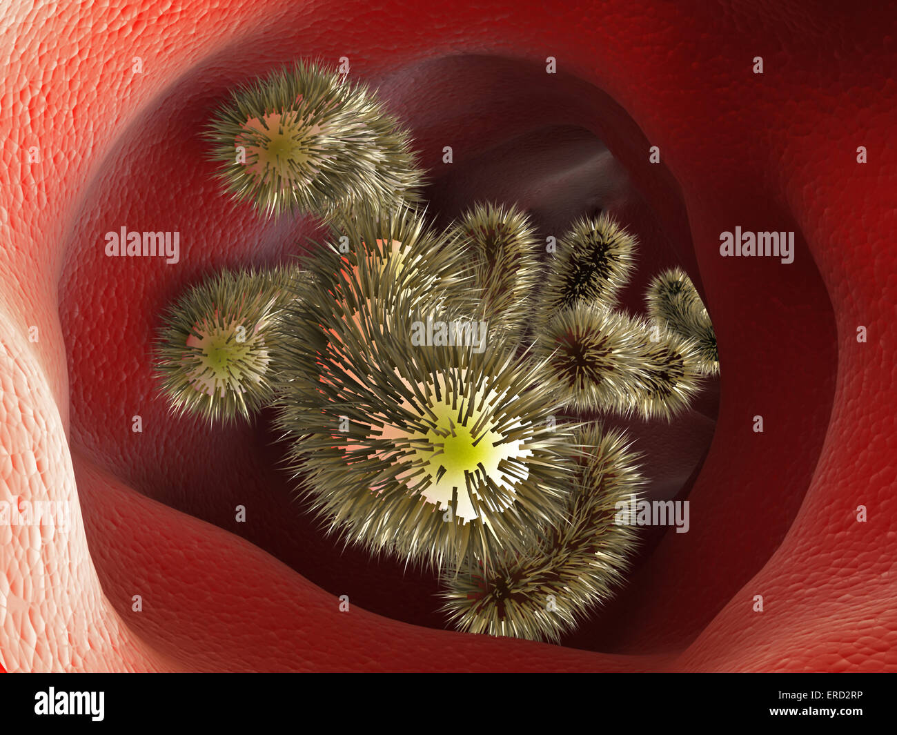 Bacteria moving inside human tissue Stock Photo - Alamy