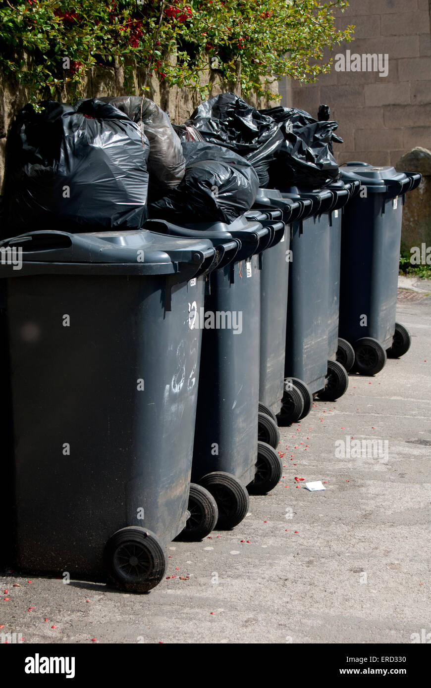 Documentary images of refuse bins Stock Photo - Alamy