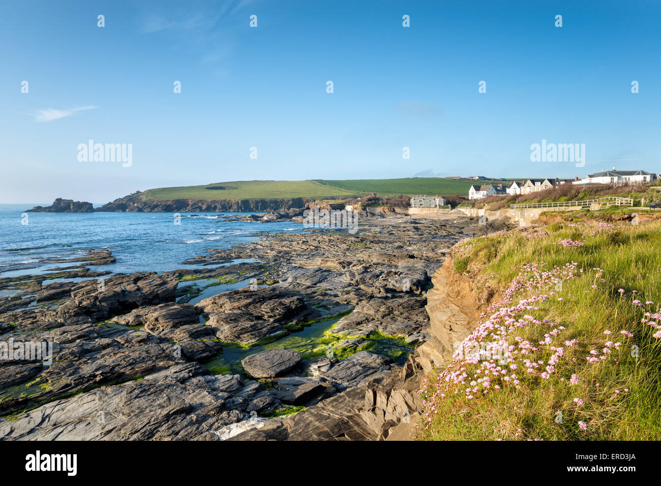 Low tide at Trevone Bay a rocky beach near Padstow in Cornwall Stock ...