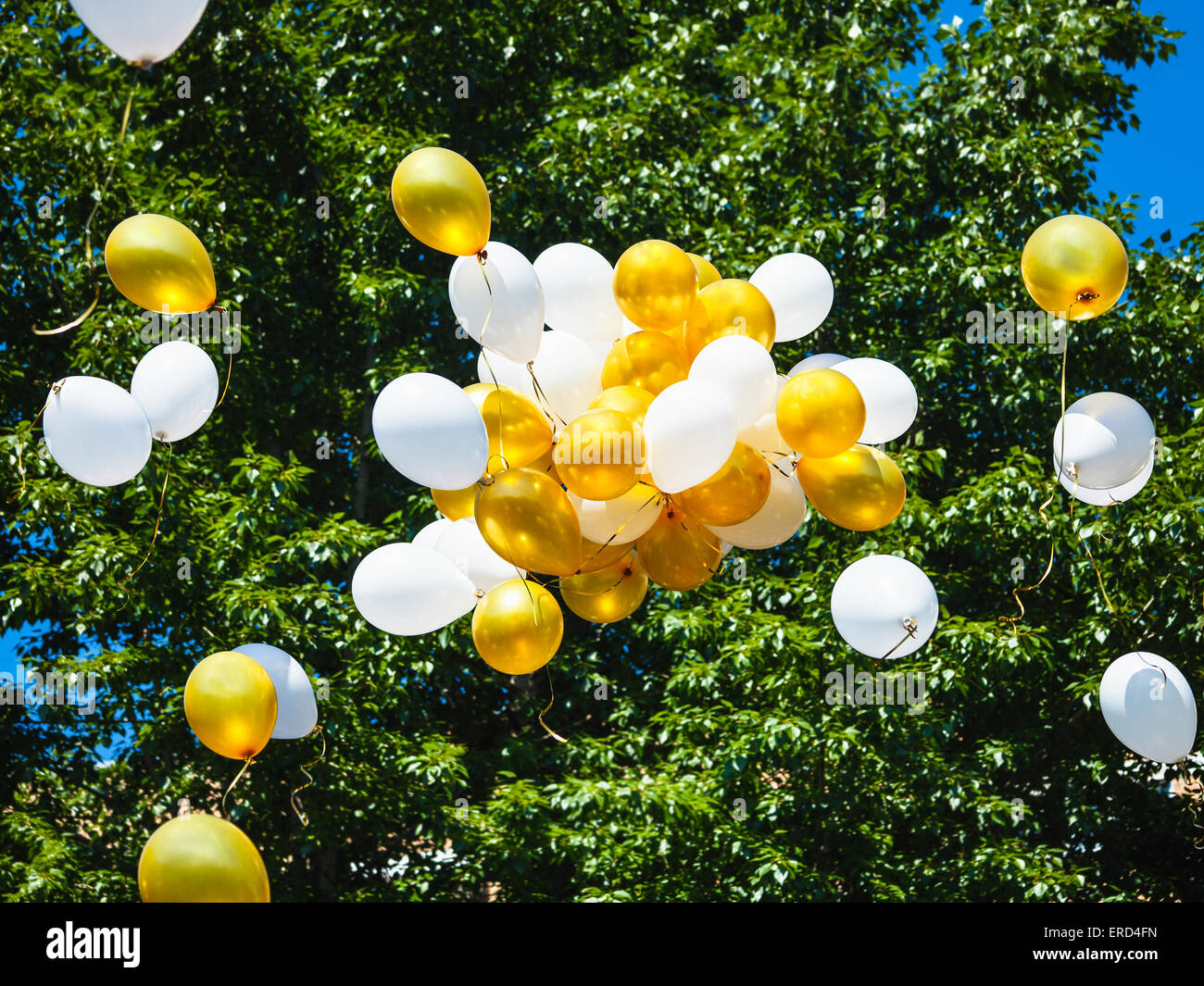 bunch of yellow and white balloons floating in air Stock Photo - Alamy