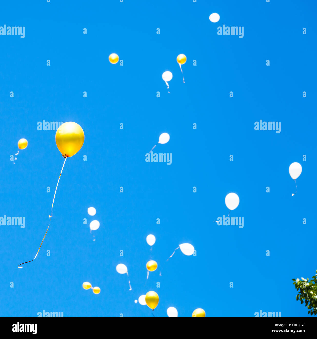 Balloons rise hi-res stock photography and images - Alamy