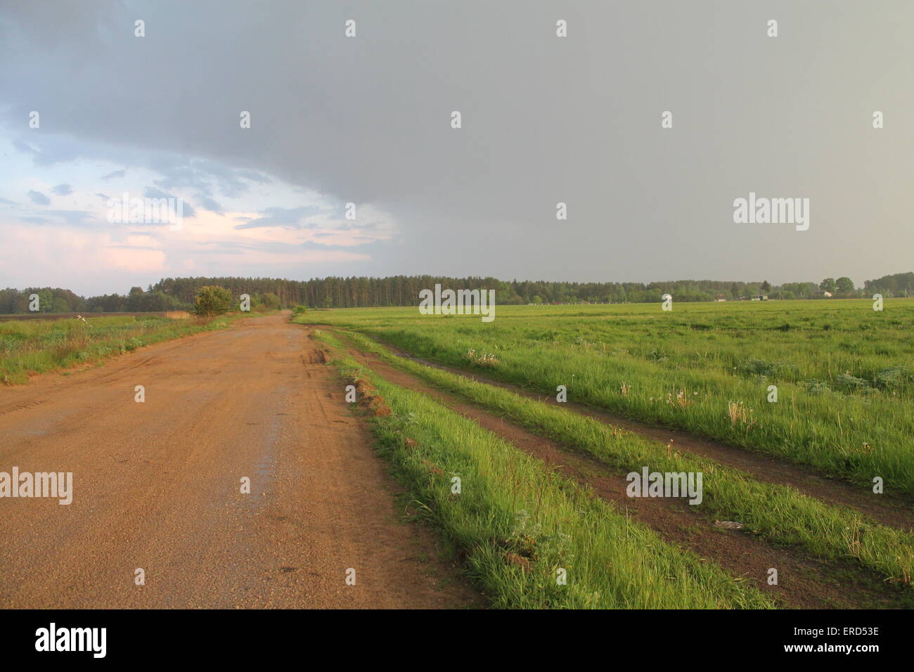 view on spring wide open green field road with falling rain and thunder ...