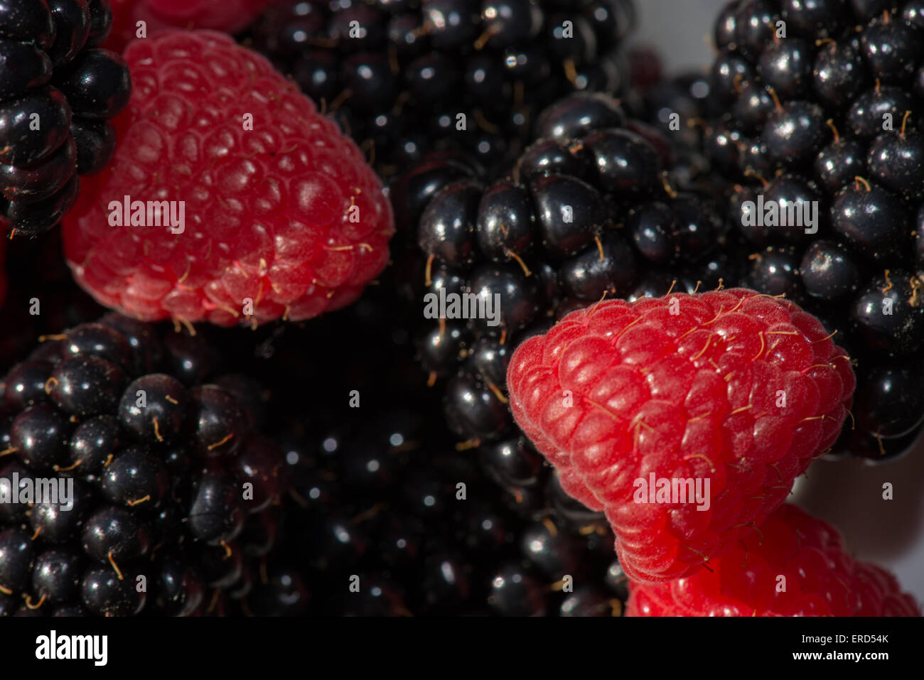 Fruit, raspberry, blackberry Stock Photo - Alamy