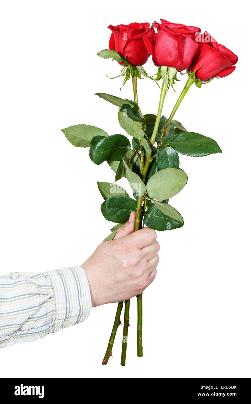 male hand giving bouquet of three red roses isolated on white ...