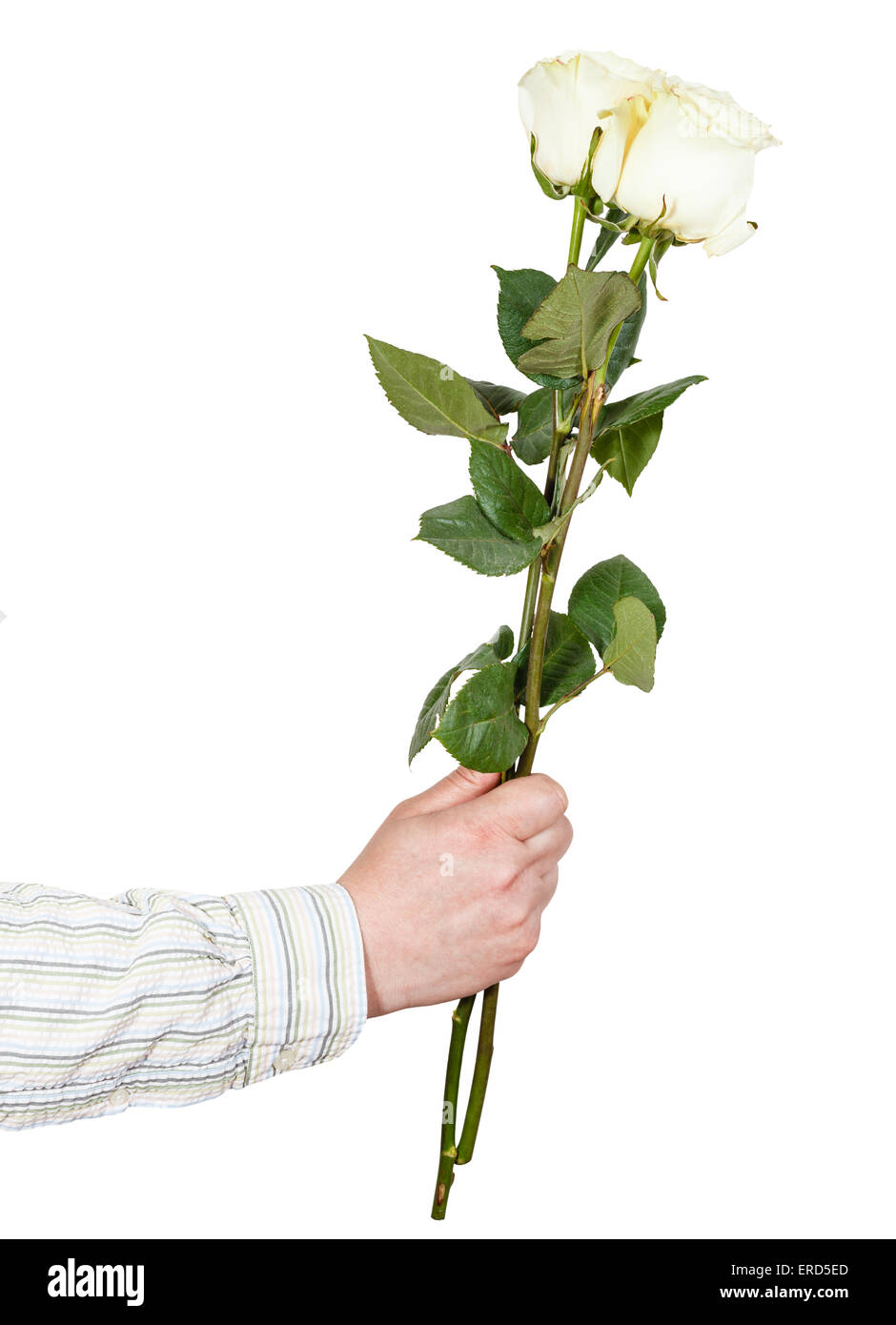 Male hand giving flowers hi-res stock photography and images - Alamy