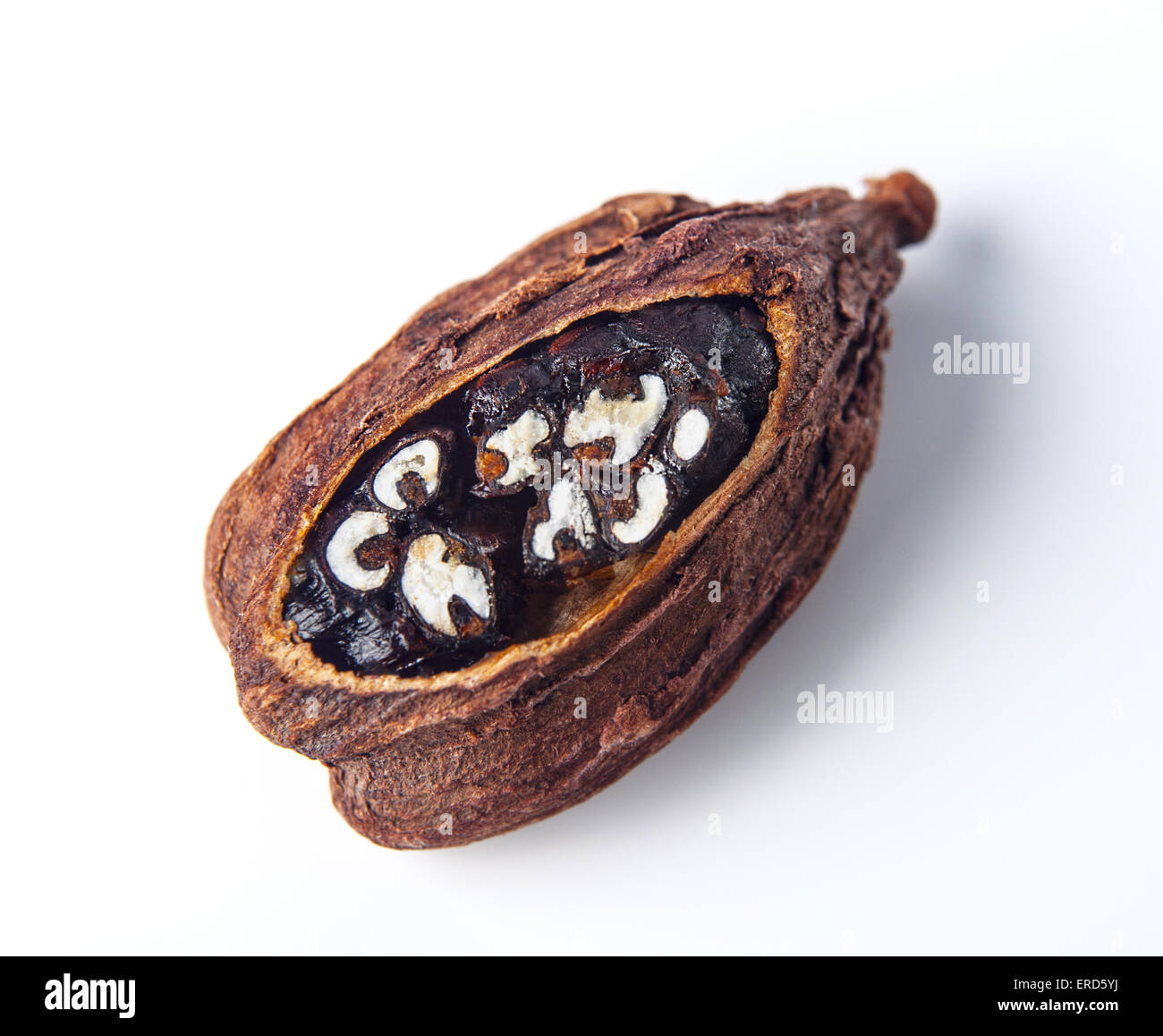 Single cardamom pod hi-res stock photography and images - Alamy