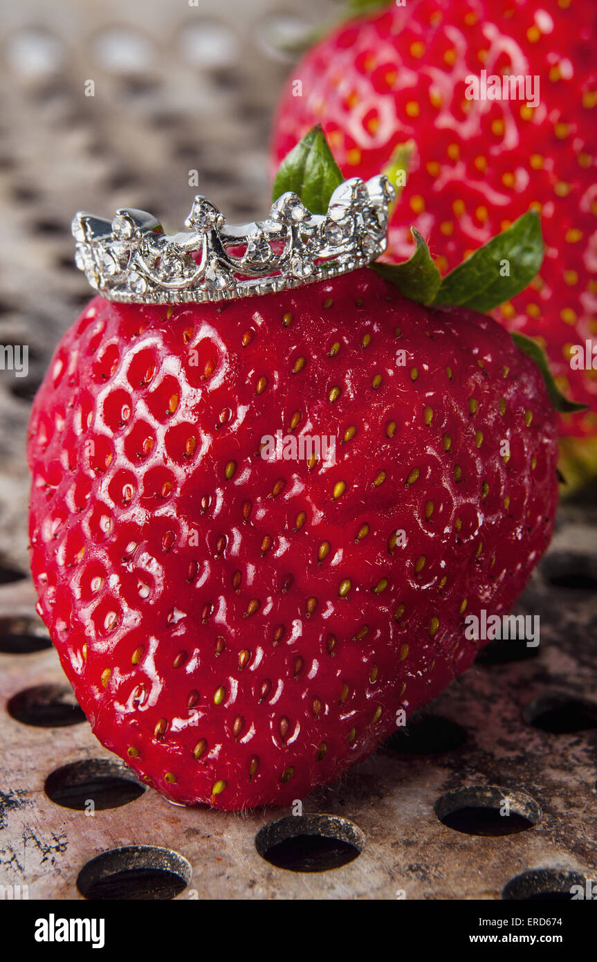 O vivid hi-res stock photography and images - Alamy