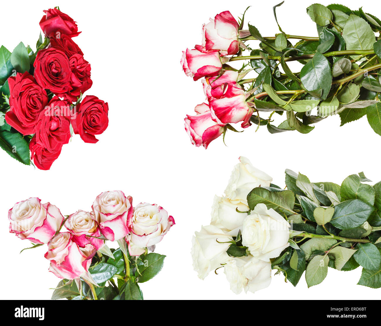set of various rose bunches of flowers isolated on white background ...