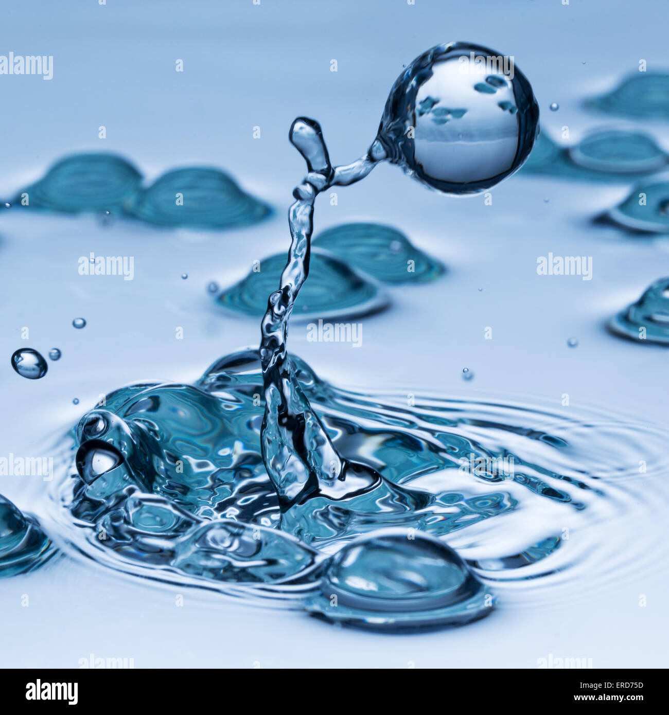 Freeze shot hi-res stock photography and images - Alamy