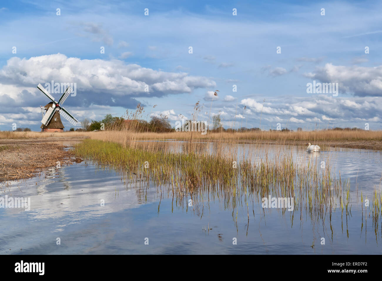 Dutch windmill over blue sky, Holland Stock Photo - Alamy