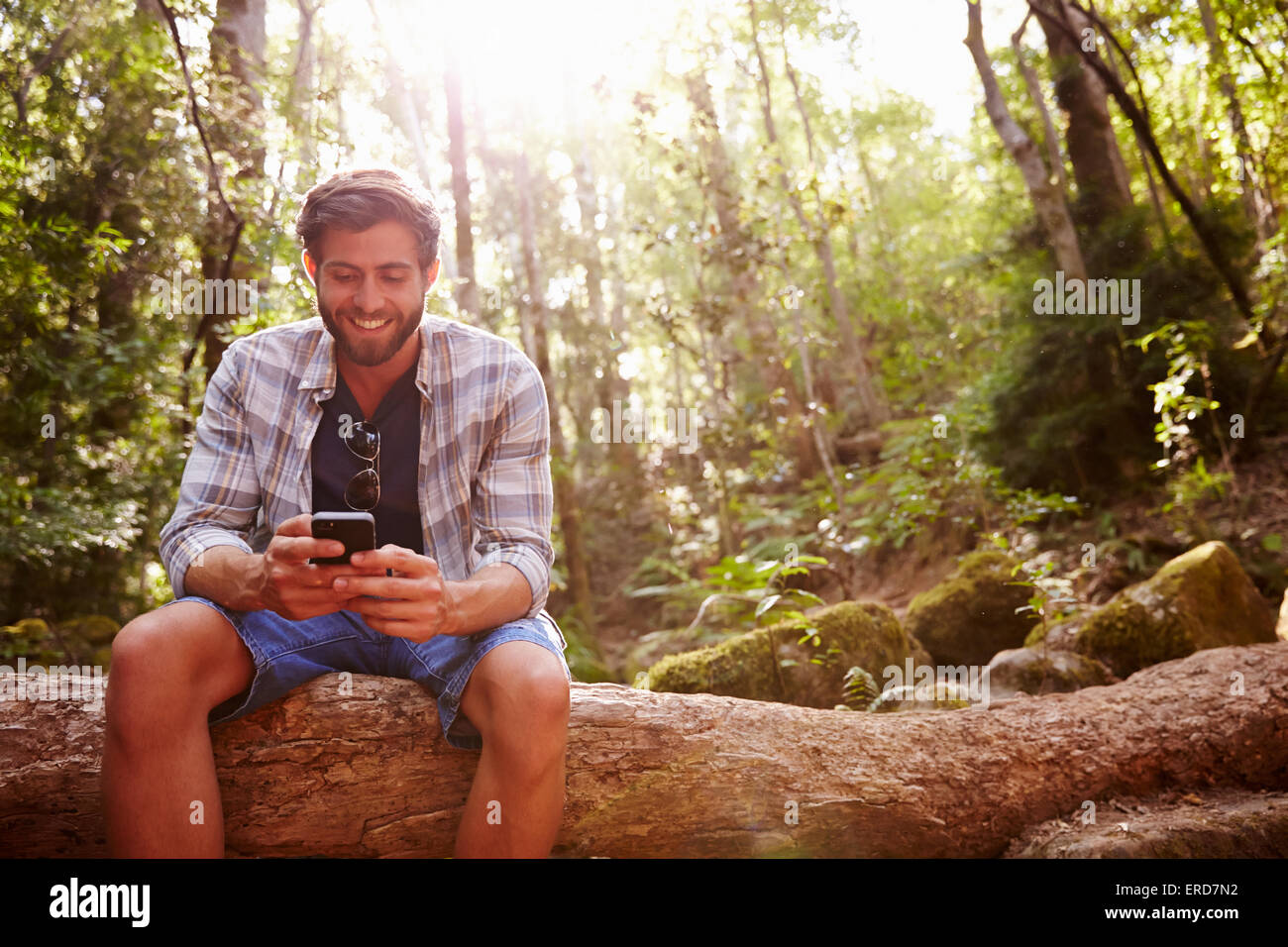 Man Sits On Tree Trunk In Forest Using Mobile Phone Stock Photo - Alamy