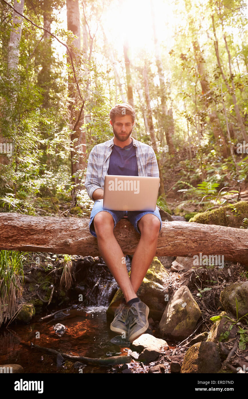 Man Sits On Tree Trunk In Forest Using Laptop Computer Stock Photo - Alamy