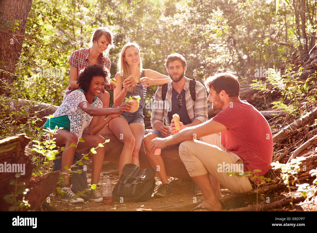 Group Of Friends Breaking For Lunch On Countryside Walk Stock Photo - Alamy
