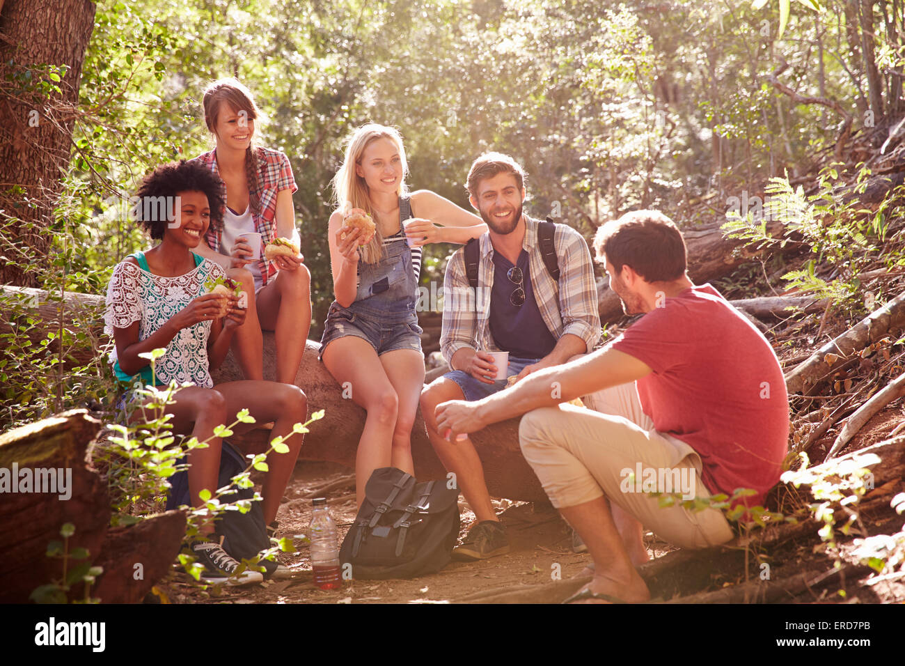 Group Of Friends Breaking For Lunch On Countryside Walk Stock Photo - Alamy