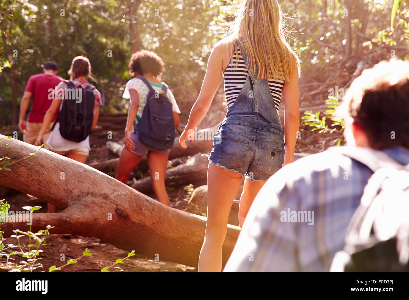 Group Of Friends Jumping Over Tree Trunk On Countryside Walk Stock ...