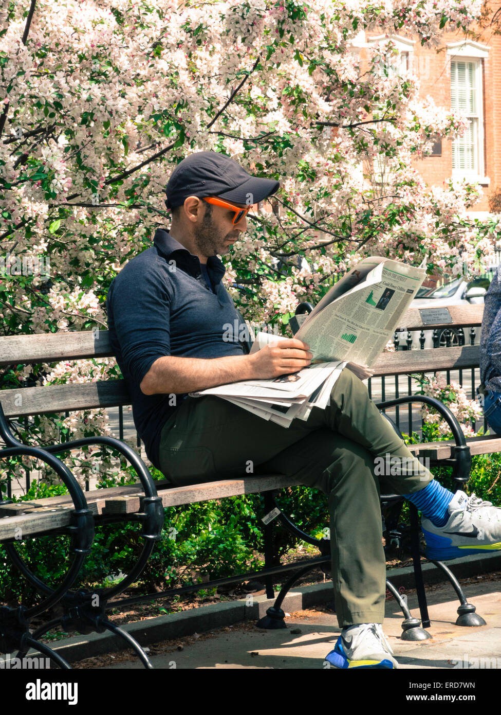 Springtime in Washington Square Park, NYC Stock Photo - Alamy