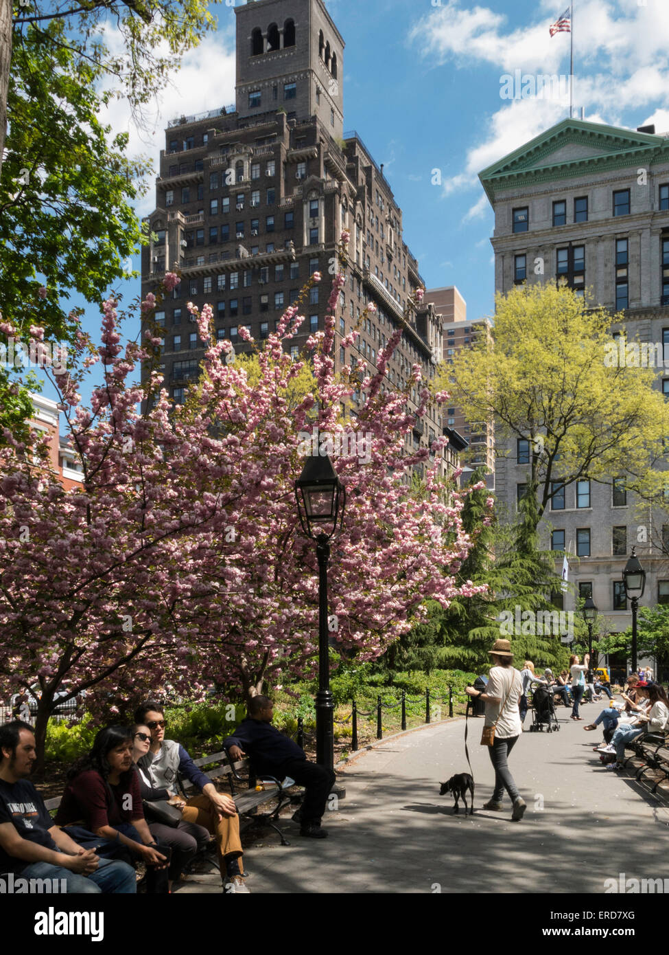 Springtime in Washington Square Park, NYC Stock Photo - Alamy