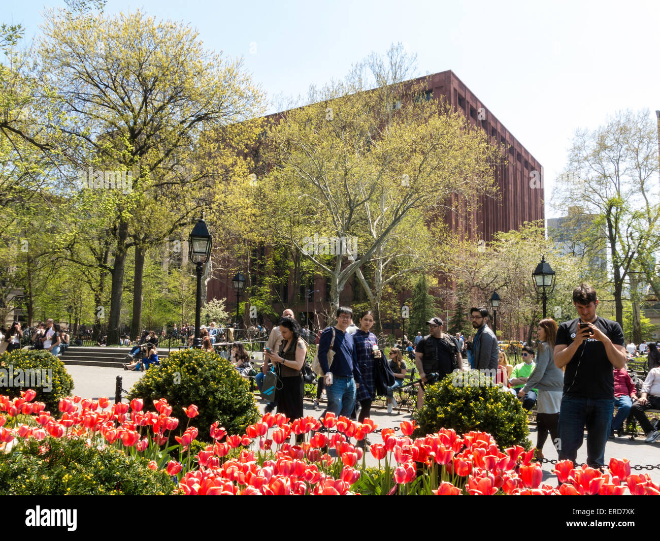 Springtime in Washington Square Park, NYC Stock Photo - Alamy