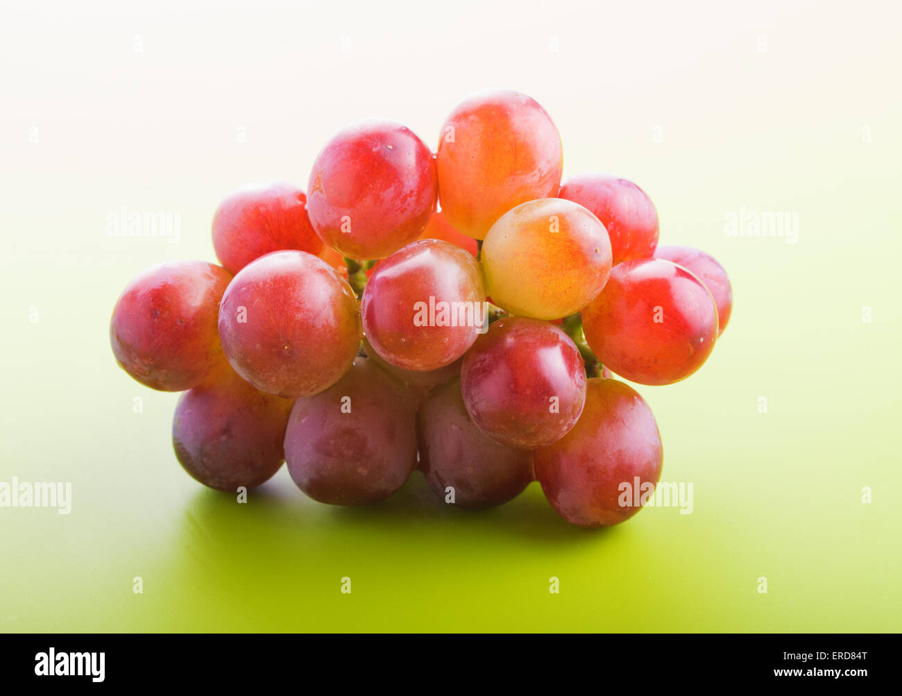 Green green gradient background hi-res stock photography and images - Alamy