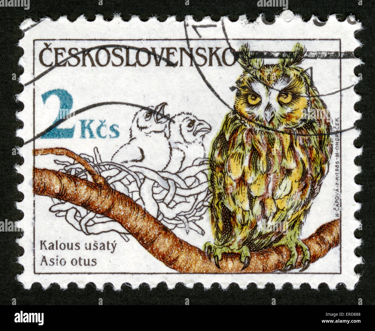 Vintage owl illustrations hi-res stock photography and images - Alamy
