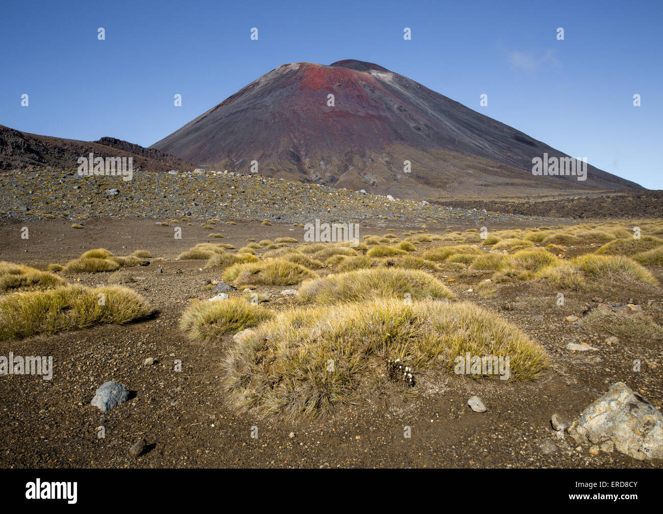 Brooding cone active volcano mount hi-res stock photography and images ...