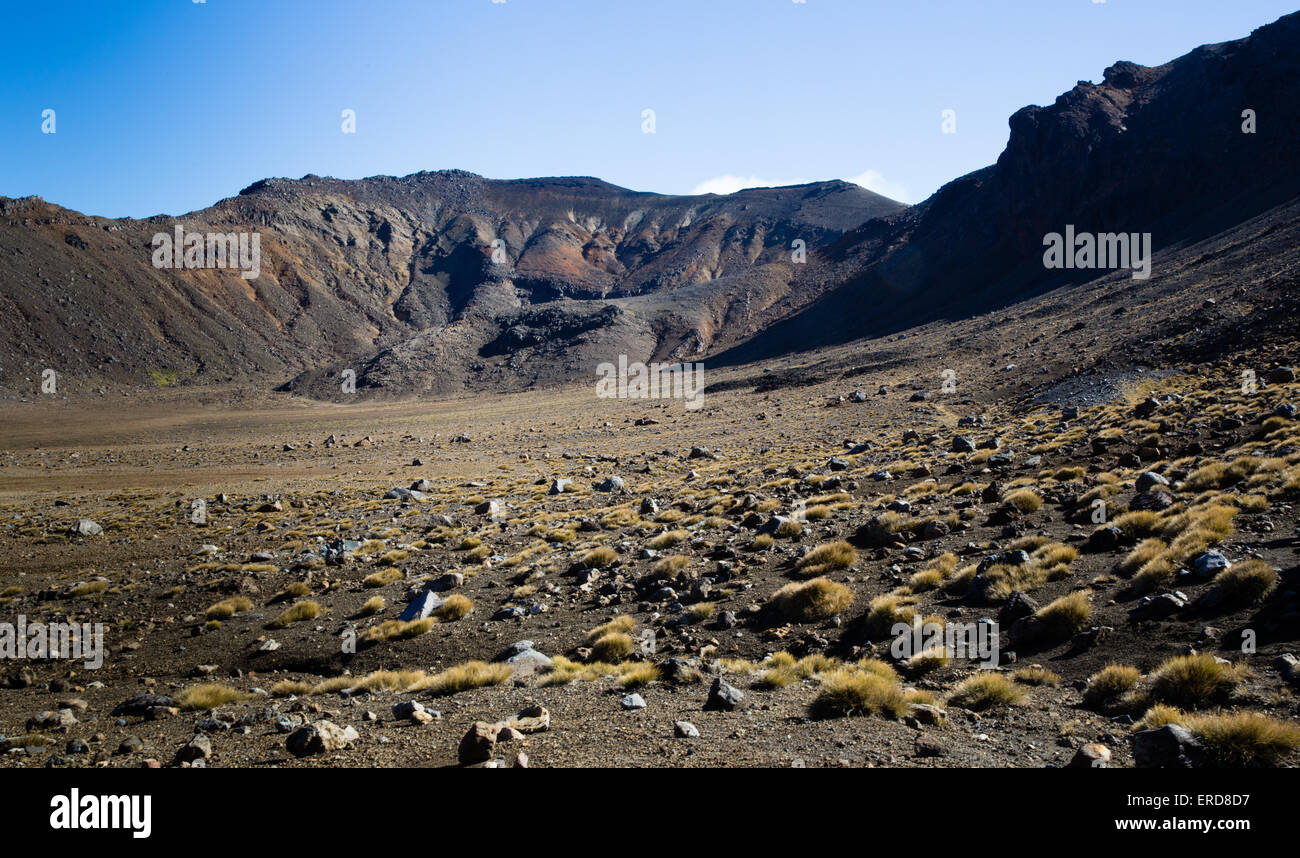 Vast South Crater of Mount Tongariro volcano in the Tongariro National ...