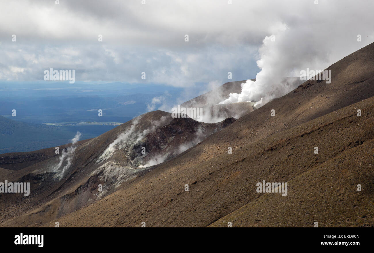 Steam and fumes rising from the active volcanic flanks of Mount ...