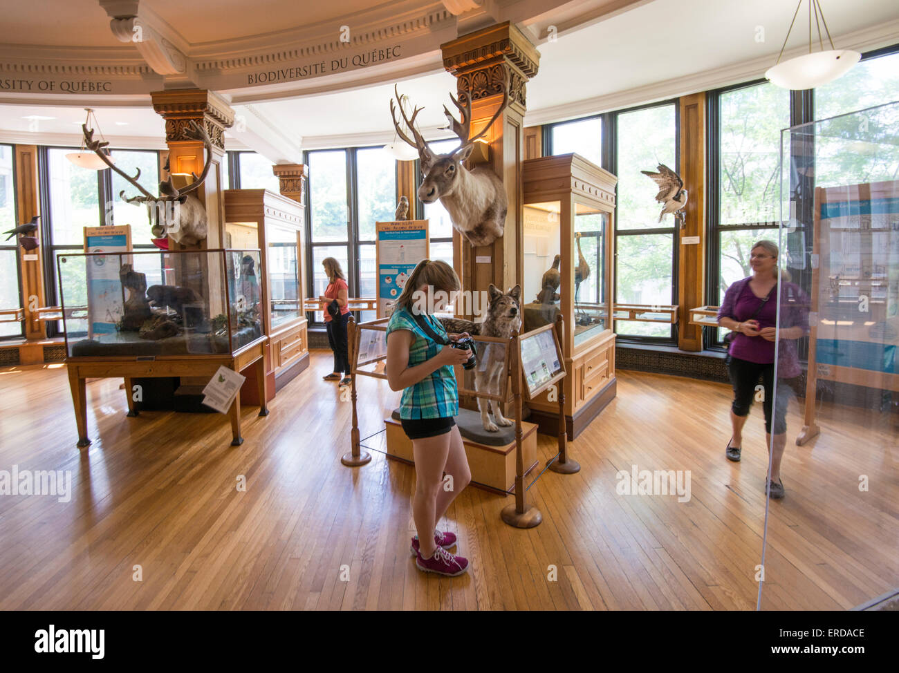 Family Fun in Montreal, Quebec, Canada. Redpath Museum. People walking ...