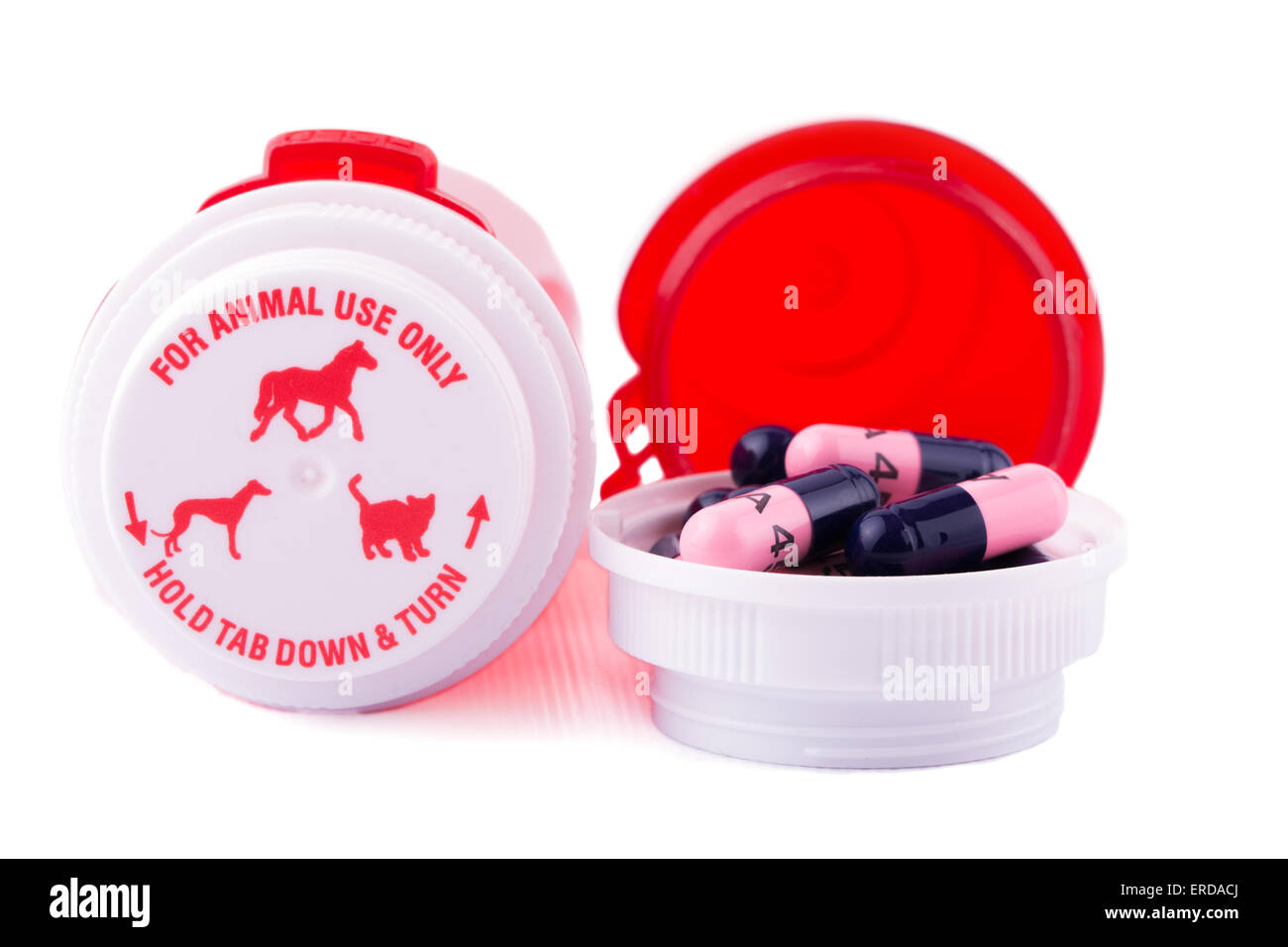 Animal medication with bottles, on white background Stock Photo - Alamy