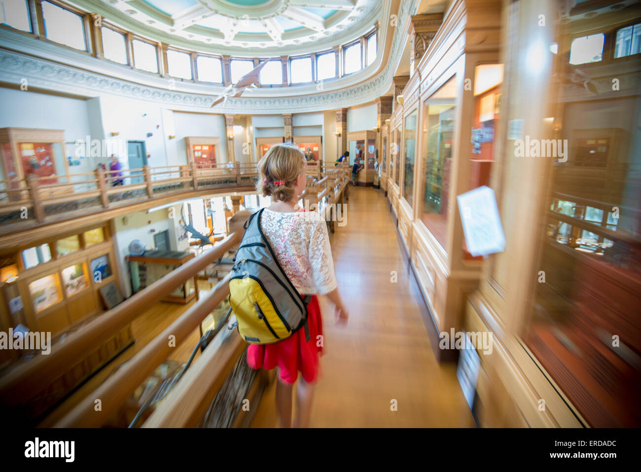 Family Fun in Montreal, Quebec, Canada. Redpath Museum. Focus on girl ...
