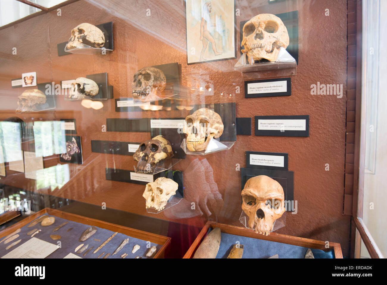 Family Fun in Montreal, Quebec, Canada. Redpath Museum. Exhibit of ...