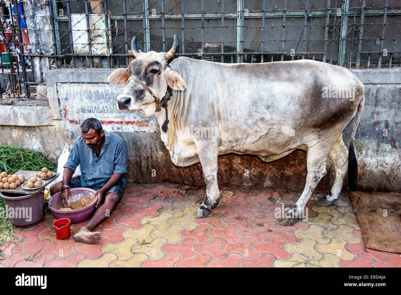 Cumballa High Resolution Stock Photography and Images - Alamy