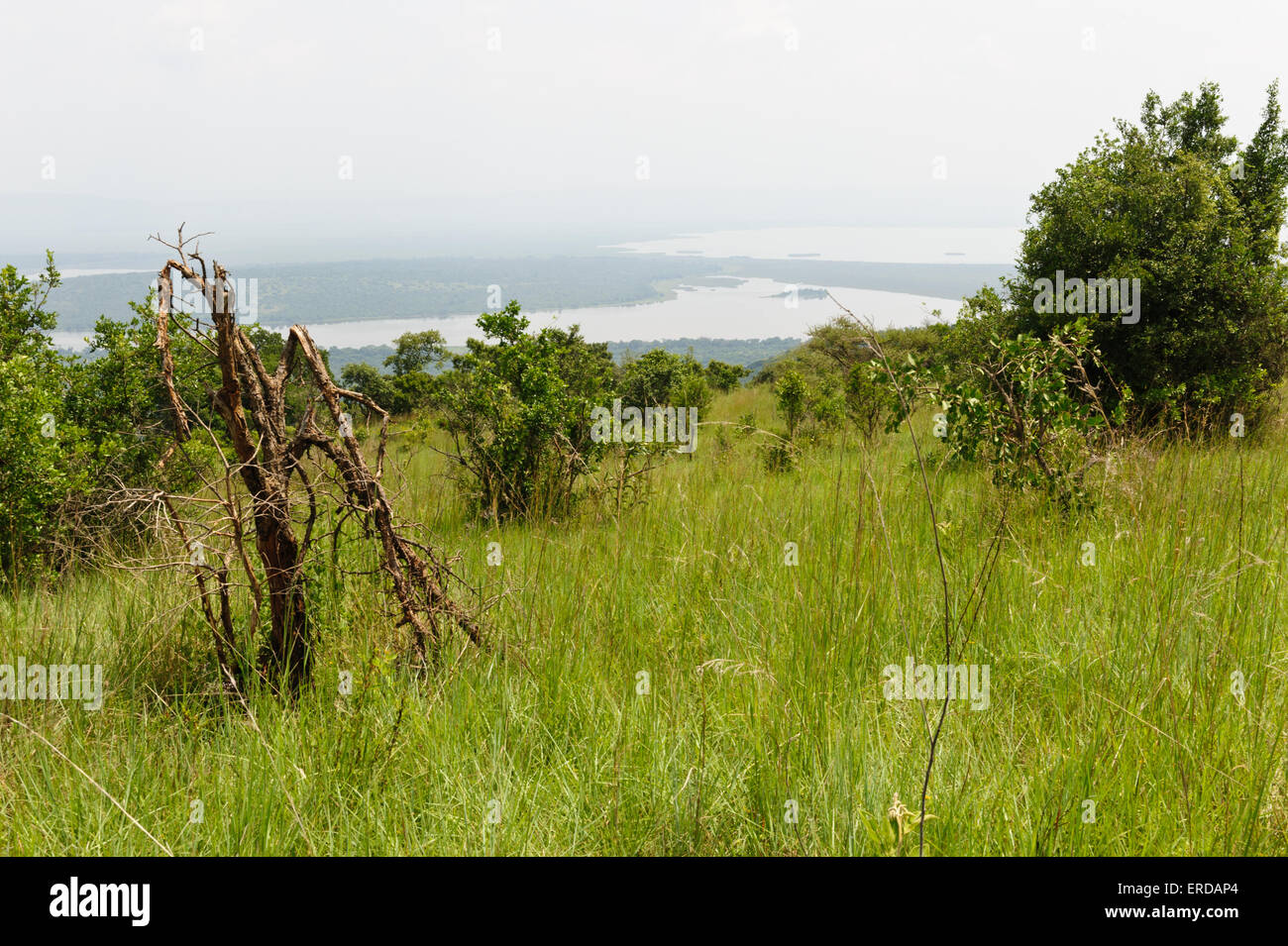 Akagera National Park, Rwanda. Lake Ihema seen in th distance Stock ...