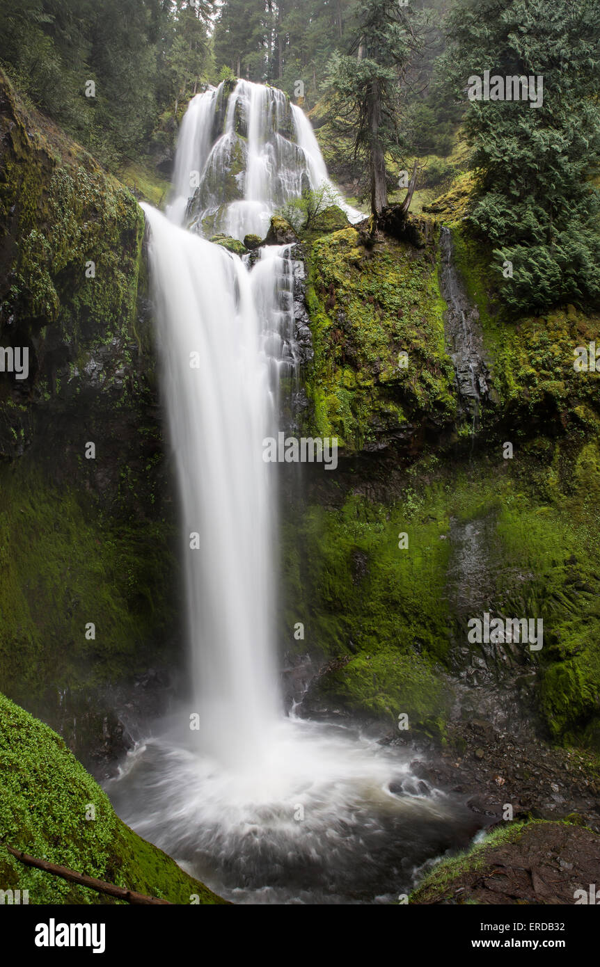Magnificent waterfalls in Washington Stock Photo - Alamy