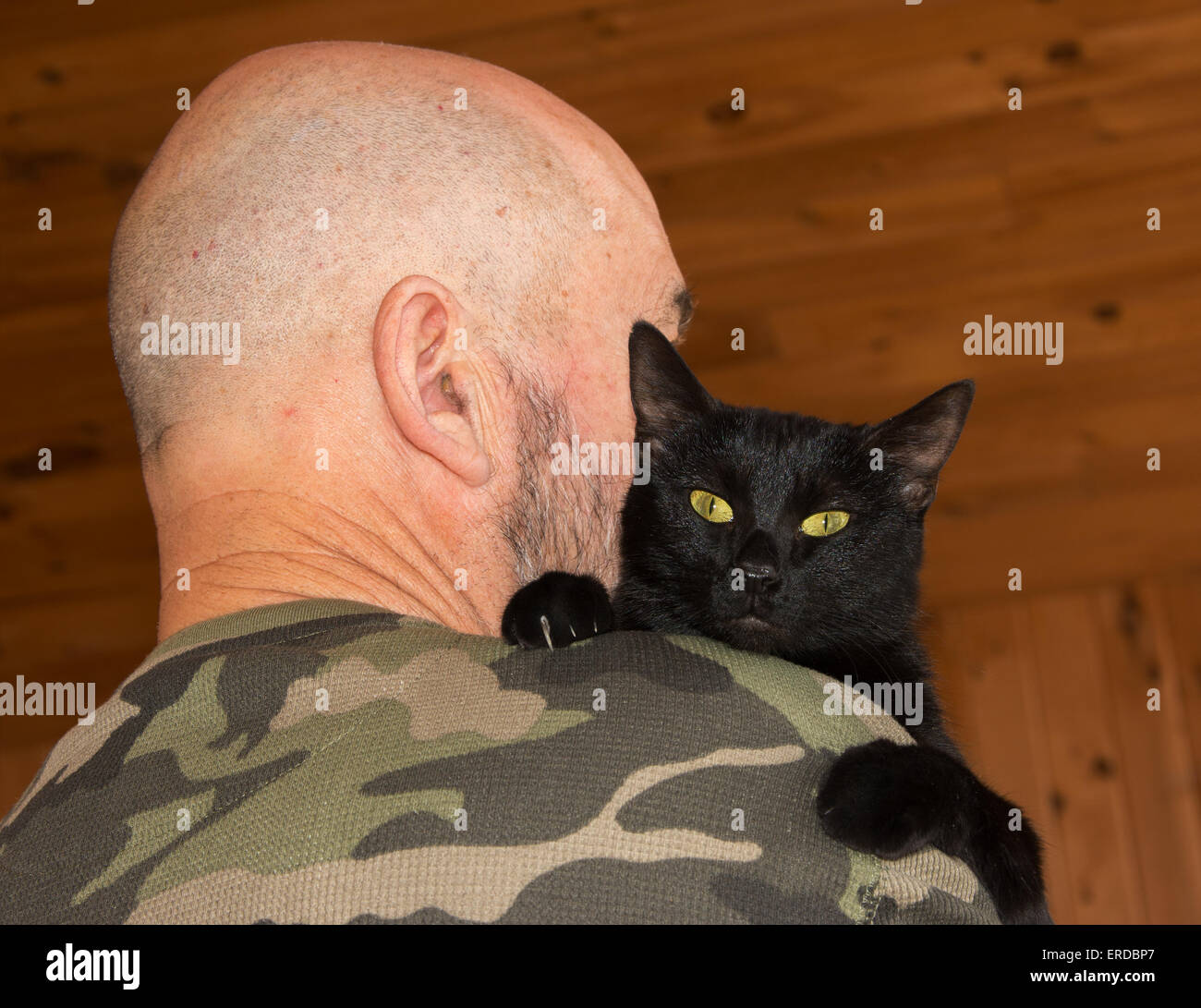 Domestic aged hi-res stock photography and images - Alamy